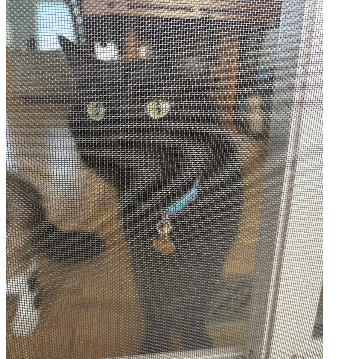 Pet-Proof Retractable Screen Door | Mirage Screen Systems