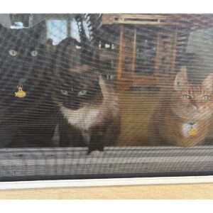 Pet-Proof Retractable Screen Door | Mirage Screen Systems